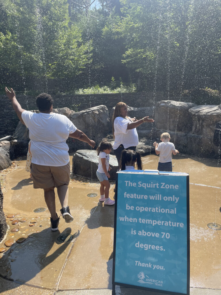 A Summer with Underwater Sea Creature Friends | CentroNia