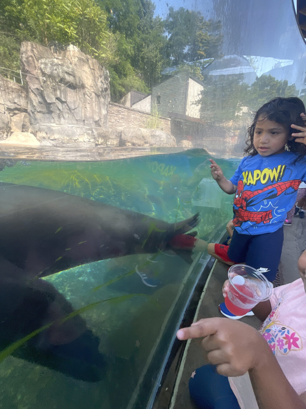 A Summer with Underwater Sea Creature Friends | CentroNia