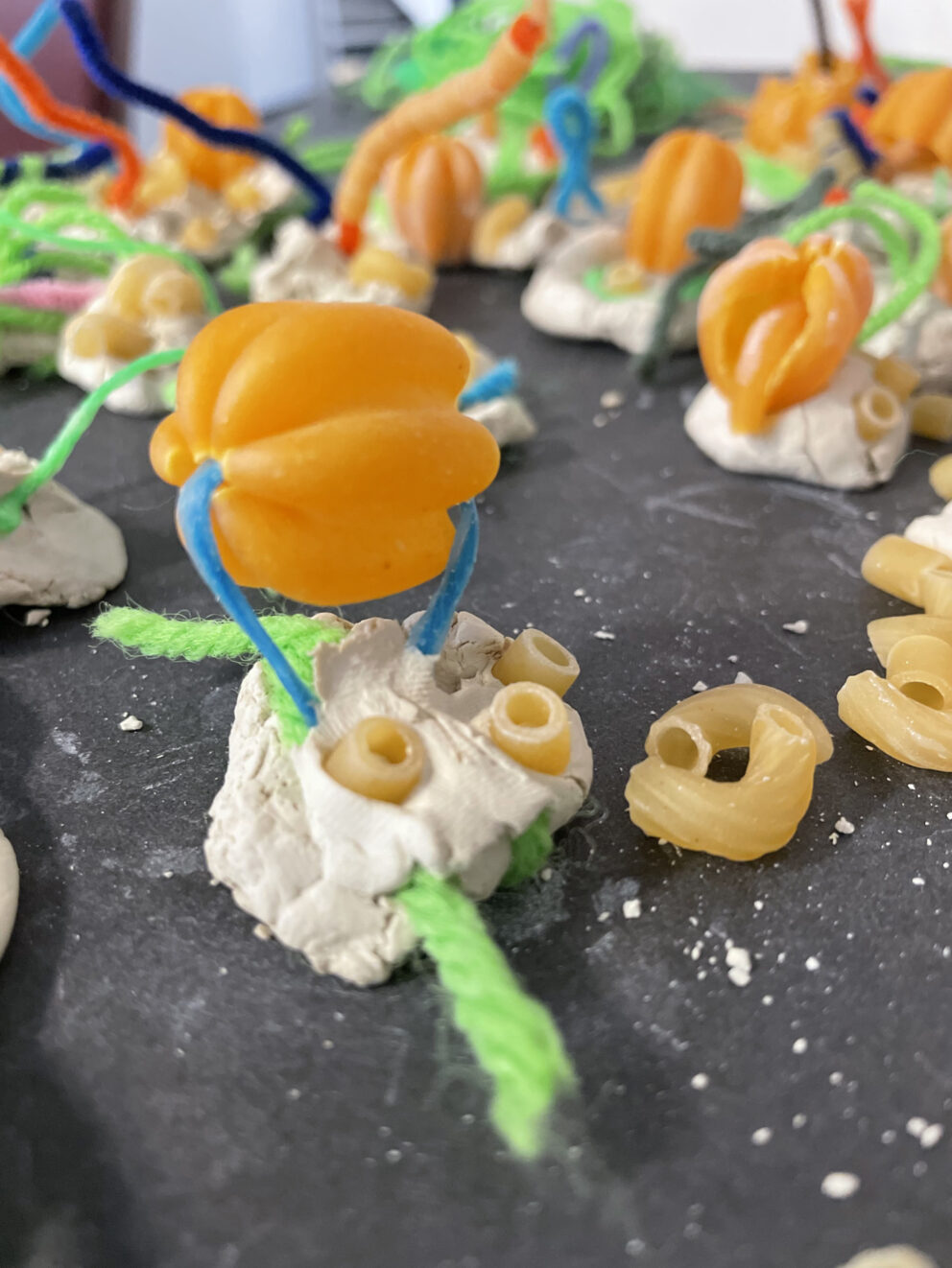 A Summer with Underwater Sea Creature Friends | CentroNia